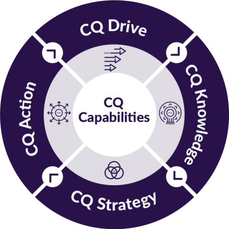 WHAT IS CULTURAL INTELLIGENCE? - Above Difference